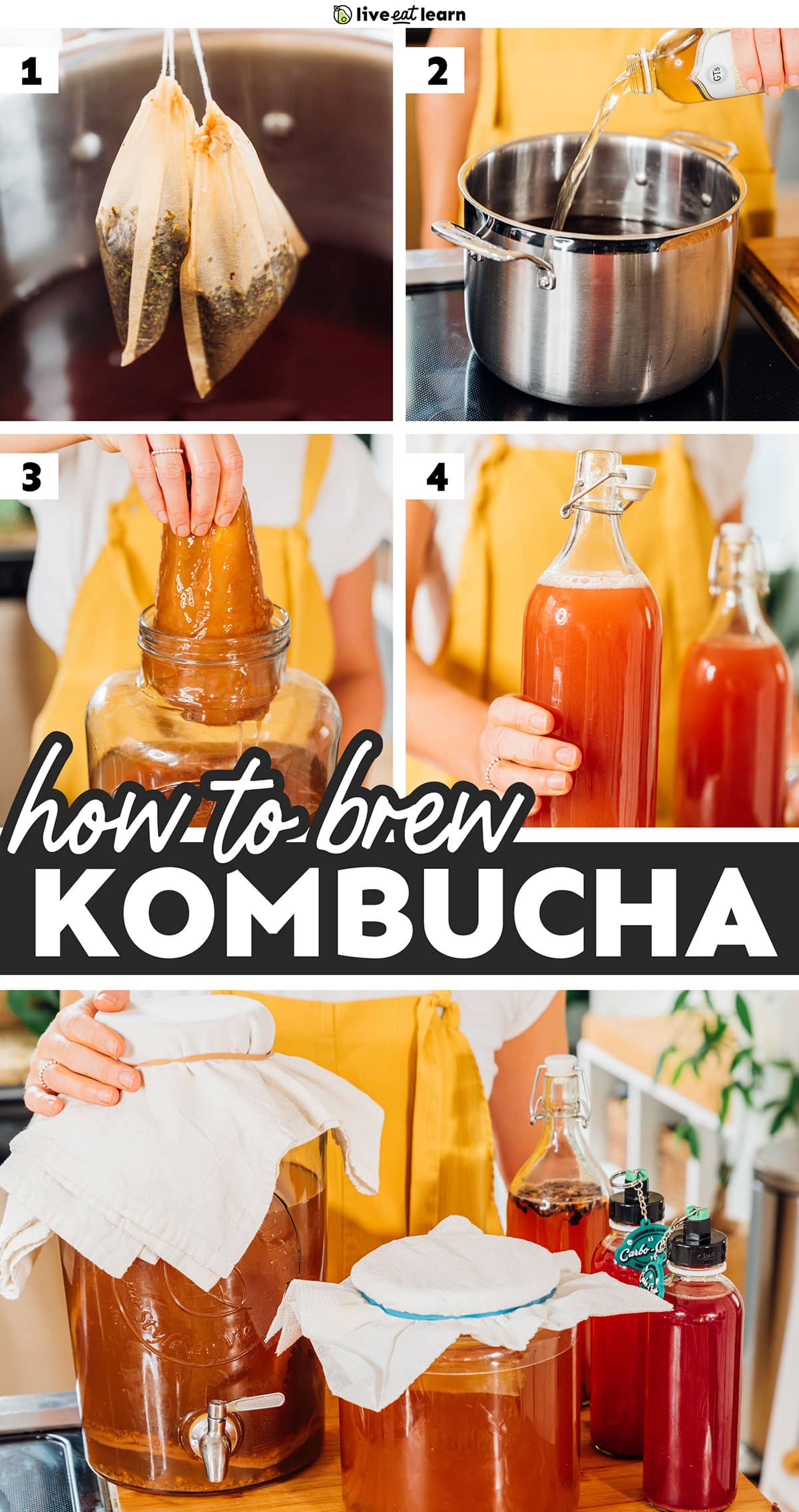 Homemade Kombucha: The Simple Guide to Kickass Kombucha
