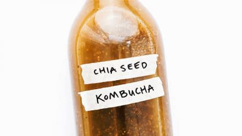 Foolproof Coffee Kombucha Recipe | Live Eat Learn
