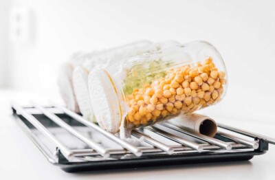 How to Sprout Beans and Legumes (Step-By-Step Guide) | Live Eat Learn