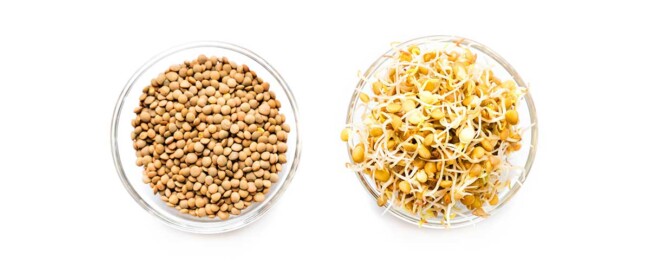 How to Sprout Beans and Legumes (Step-By-Step Guide) | Live Eat Learn