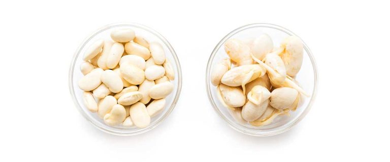 How to Sprout Beans and Legumes (Step-By-Step Guide) | Live Eat Learn