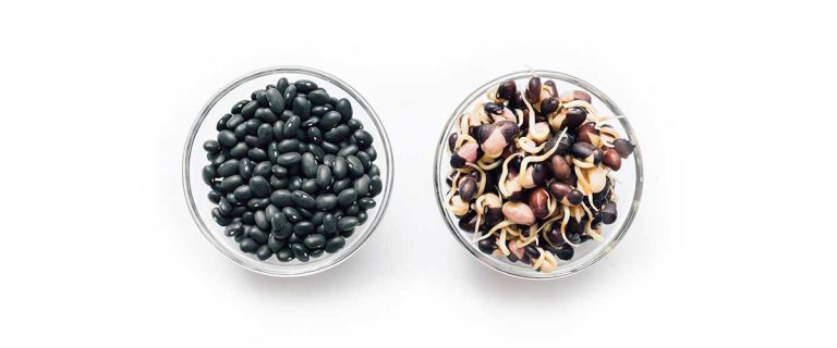 How to Sprout Beans and Legumes (Step-By-Step Guide) | Live Eat Learn