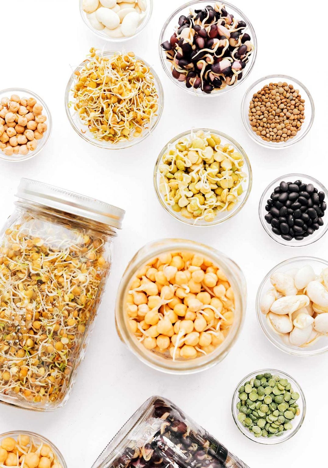 How to Sprout Beans and Legumes (Step-By-Step Guide) | Live Eat Learn