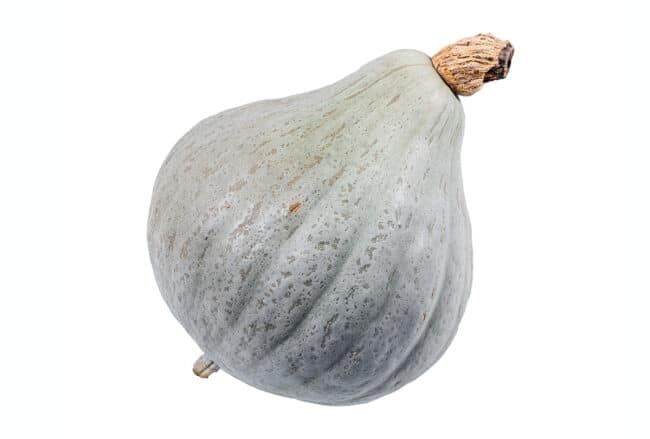 List of Vegetables: 240 Vegetables From A to Z | Live Eat Learn