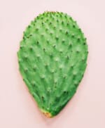 How To Cook Nopales (Cactus Paddles!) | Live Eat Learn