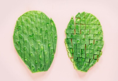 How To Cook Nopales (Cactus Paddles!) | Live Eat Learn