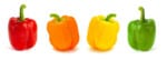 29 Types of Peppers from Mild to Hot (With Photos!)