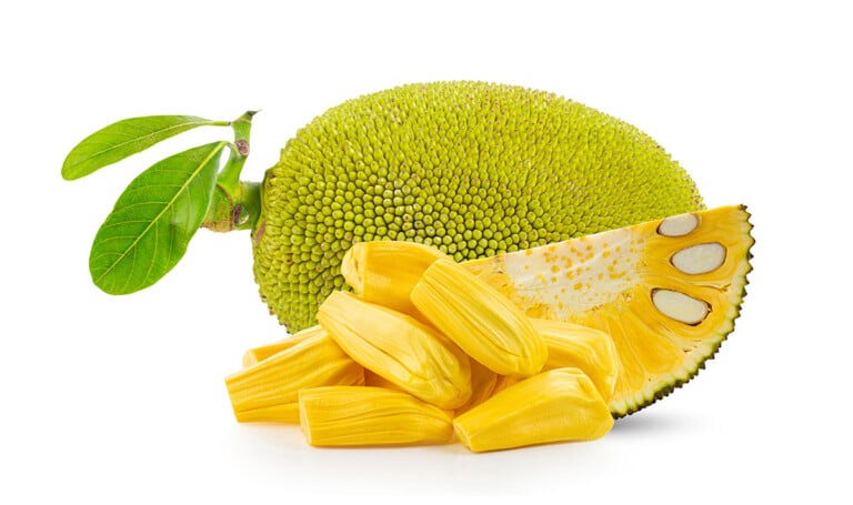 Jackfruit vs. Durian: What's The Difference? (With Photos!) | Live Eat ...