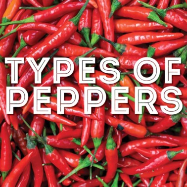 29 Types of Peppers from Mild to Hot (With Photos!)