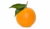 39 Types Of Oranges From A to Z (With Photos!) | Live Eat Learn