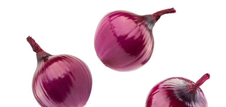 23 Types Of Onions From A to Z (With Photos) | Live Eat Learn