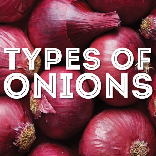 23 Types Of Onions From A to Z (With Photos) | Live Eat Learn