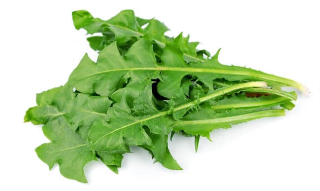 26 Types Of Lettuce From A to Z (With Photos!) | Live Eat Learn