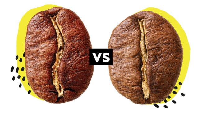 29 Types Of Coffee Beans From A to Z (And How To Use Them) | Live Eat Learn
