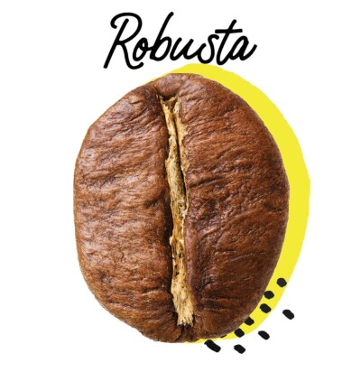 29 Types Of Coffee Beans From A to Z (And How To Use Them) | Live Eat Learn