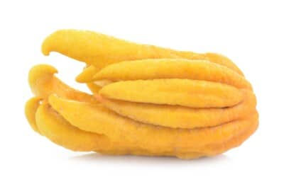 40 Exotic Fruits From A to Z (With Photos!) | Live Eat Learn