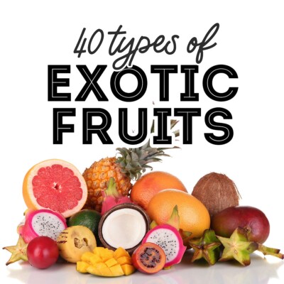40 Exotic Fruits From A to Z (With Photos!) | Live Eat Learn