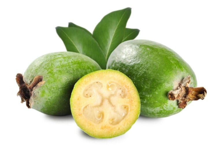40 Exotic Fruits From A to Z (With Photos!) | Live Eat Learn