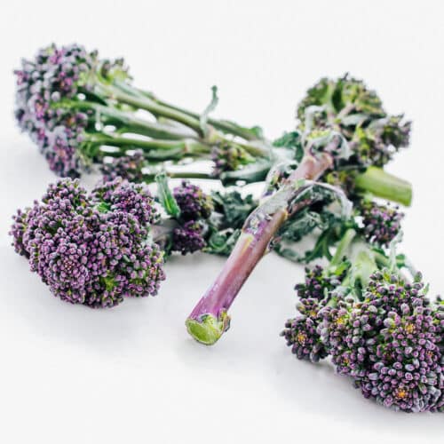 Best Vegetarian Broccoli Recipes | Live Eat Learn