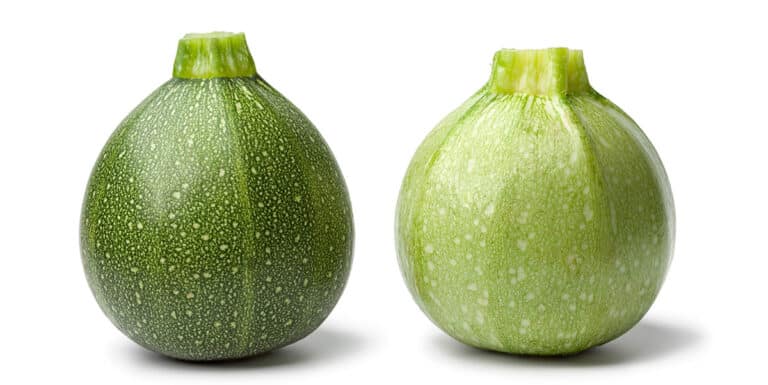 15 Types Of Zucchini From A to Z (With Photos!) | Live Eat Learn