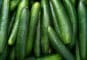 57 Types Of Cucumbers From A to Z (With Photos!) | Live Eat Learn