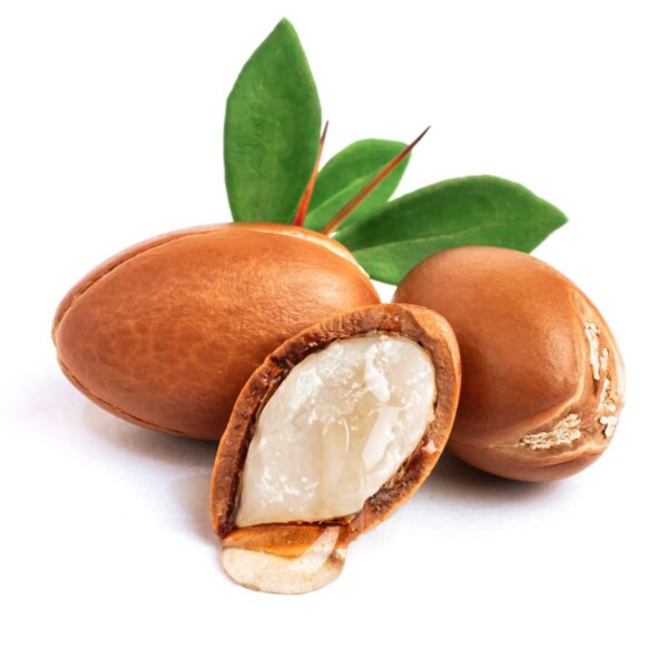 59 Types of Nuts From A to Z (With Photos!) | Live Eat Learn