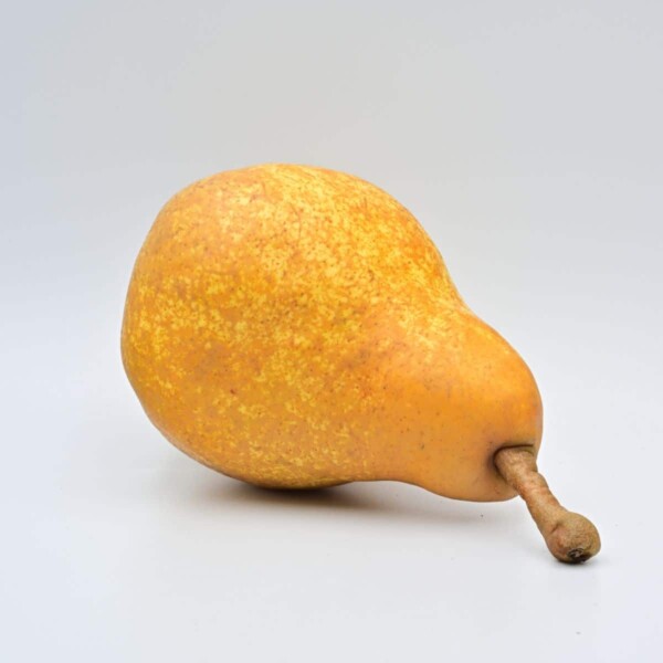 29 Types Of Pears From A to Z (With Photos!) | Live Eat Learn