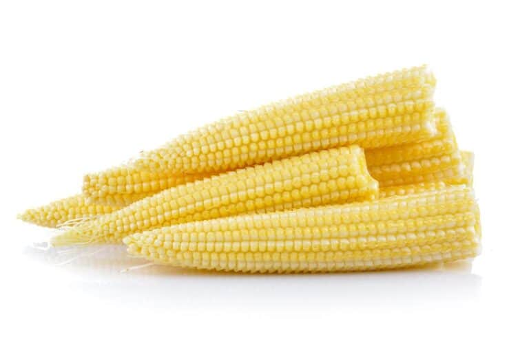 17 Types of Corn From A To Z (With Photos!) | Live Eat Learn