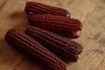 17 Types of Corn From A To Z (With Photos!) | Live Eat Learn