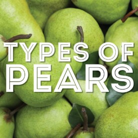 29 Types Of Pears From A to Z (With Photos!) | Live Eat Learn