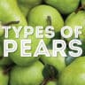29 Types Of Pears From A to Z (With Photos!) | Live Eat Learn
