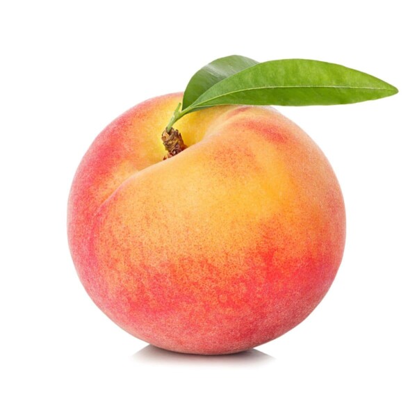 24 Types Of Peaches (With Photos!) | Live Eat Learn