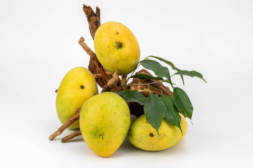 25 Types Of Mangoes From A to Z (With Photos!) | Live Eat Learn