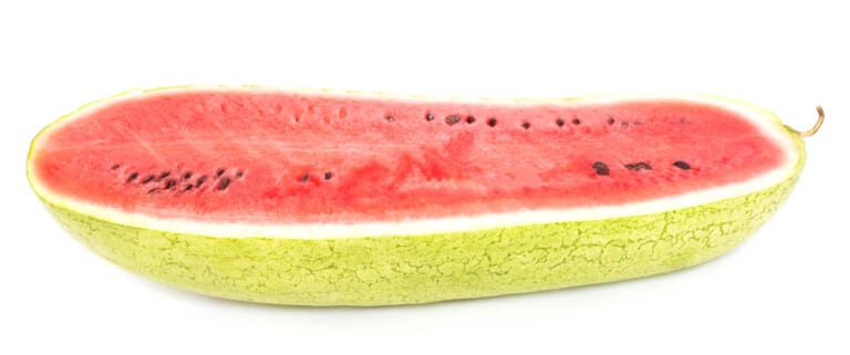 33 Types Of Watermelon (With Photos!) | Live Eat Learn