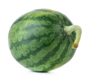 33 Types Of Watermelon (With Photos!) | Live Eat Learn
