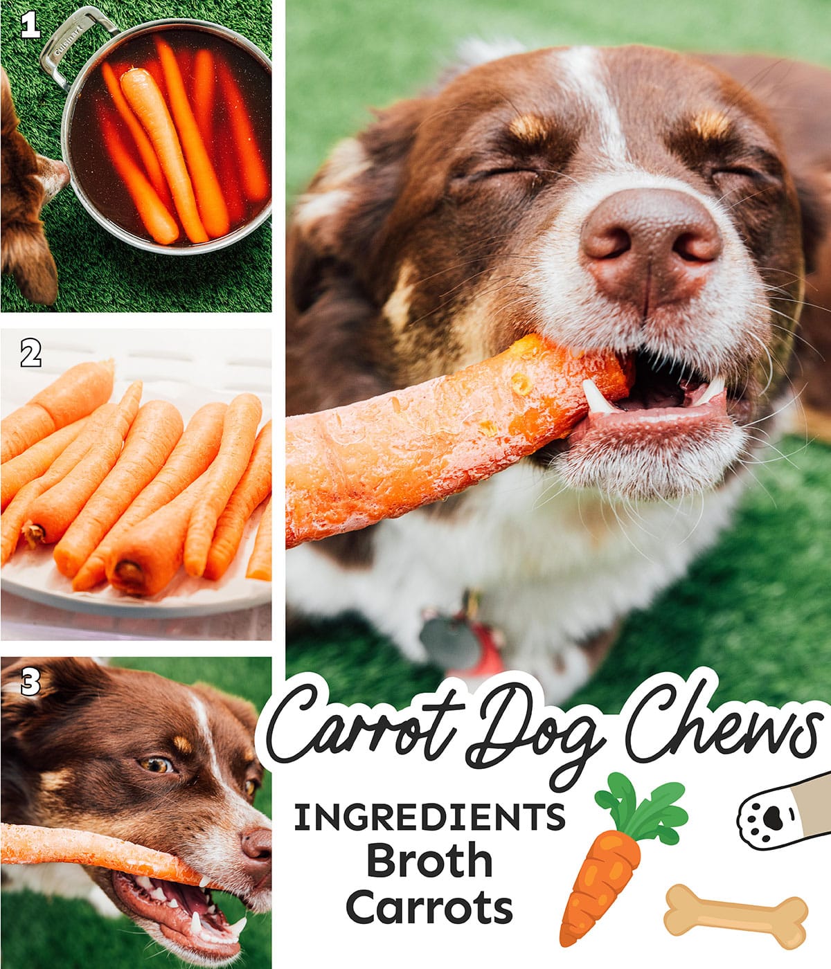 Frozen Carrot Homemade Dog Chews (2 Ingredients) | Live Eat Learn