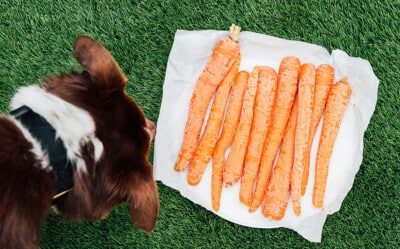 Frozen Carrot Homemade Dog Chews (2 Ingredients) | Live Eat Learn