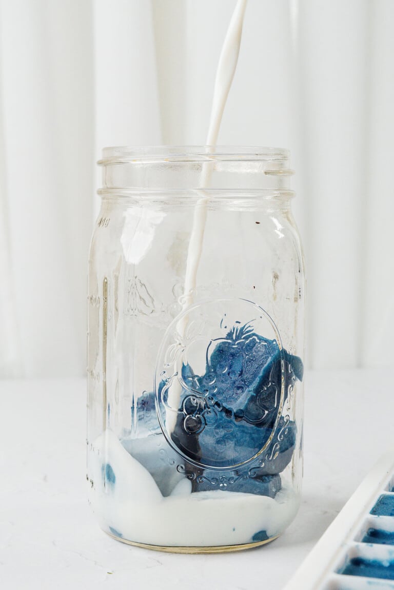 Smoothie Cubes (Evive Copycat) | Live Eat Learn